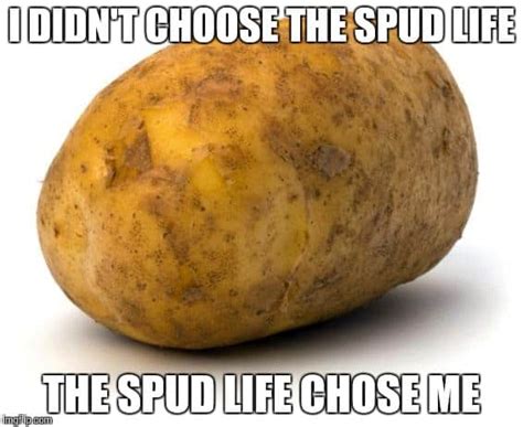 30 Potato Memes That Are Guaranteed To Make Your Day