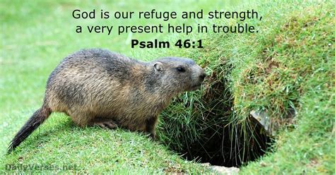 Psalm 46 1 Bible Verse Kjv