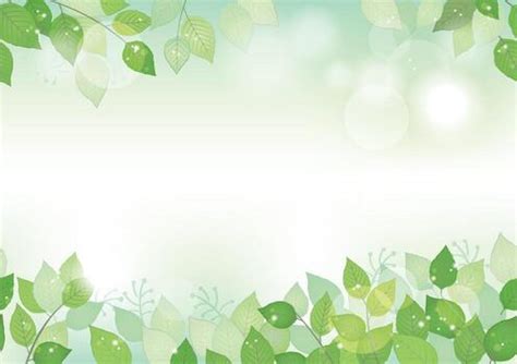 Vector Botanical Background Set With Text Space Isolated On A White