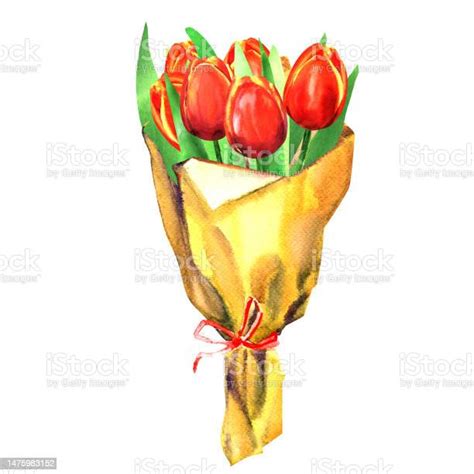 봄 빨간 튤립 꽃의 꽃다발은 빨간 리본이 달린 갈색 공예 종이에 싸여 있으며 선물 격리 된 흰색에 손으로 그린 수채화 그림 부케에 대한 스톡 벡터 아트 및 기타 이미지