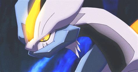 Kyurem Groups