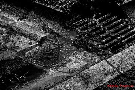 Nomad Entity User Profile Deviantart