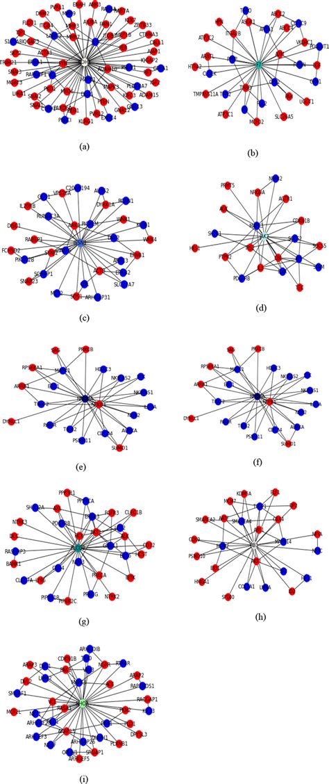 Ai Ranking Of Gene According To Degree Centrality Graph Colouring Download Scientific Diagram