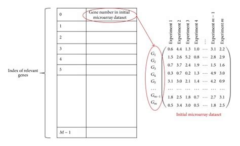 Mrmr Dataset That Contains The Gene Number That Is Selected By The Mrmr