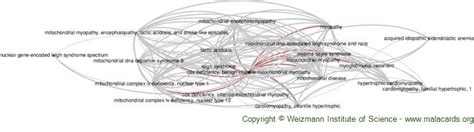 Cox Deficiency Benign Infantile Mitochondrial Myopathy Disease Malacards Research Articles