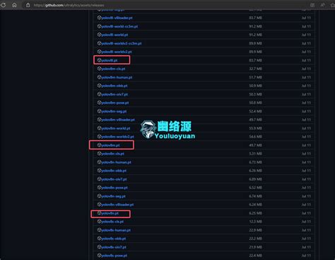 搭建yolov8实现裂缝缺陷识别全流程教程：从源码下载到模型测试