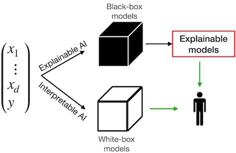 Ai Explainability Vs Interpretability By Nour Makke May 2024 Medium