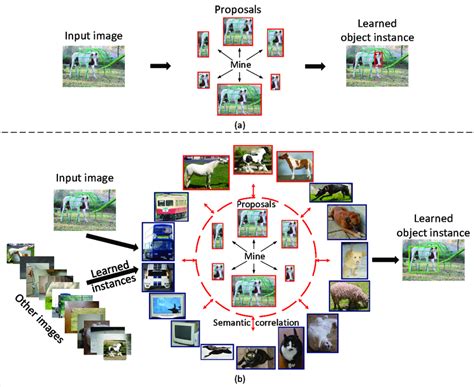 Illustration Of Our Motivation Through Data Flow A Most Wsod Methods Download Scientific