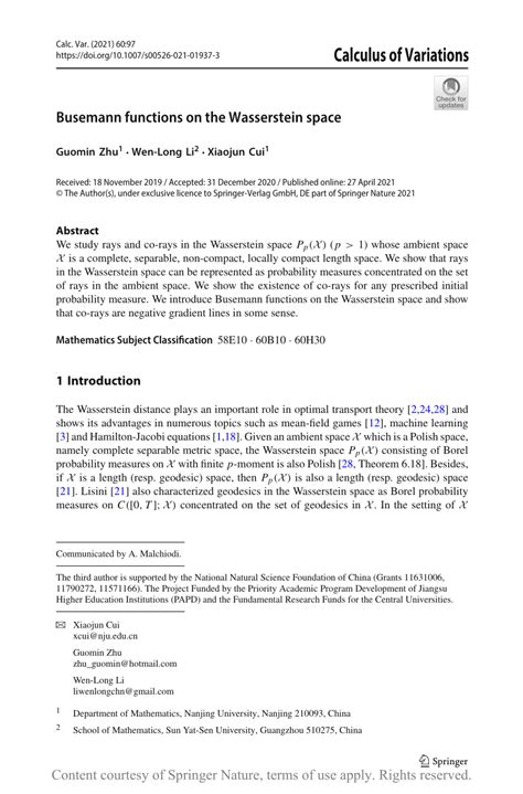 Busemann Functions On The Wasserstein Space Request Pdf