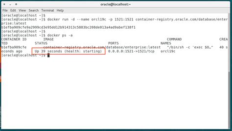 How To Deploy An Oracle Database 19c Docker Container Sean Stacey For What Its Worth