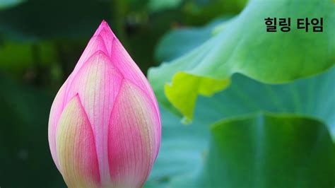 심신을 안정 시키고 집중력을 증가시키는 명상음악 Youtube