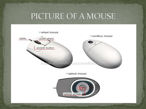 PPT INPUT DEVICES PowerPoint Presentation Free Download ID 1712859