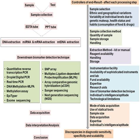 An Outline Of The Basic Steps Involved In Nanopore Sequencing