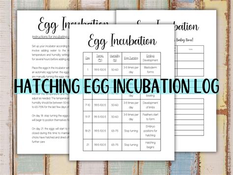 Printable Chicken Egg Incubation Calendar Incubation Log Incubation Tracker For Hatching Eggs