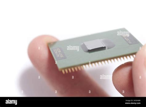 Close Up Image Of Man Holding CPU Chip In Fingers Against White Background Stock Photo Alamy