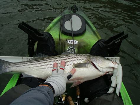 Controlling Lure Depth While Trolling From A Kayak Fishtalk Magazine