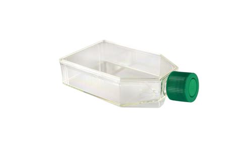 How Many Cells To Seed In T75 Flask At Brooke Bermingham Blog