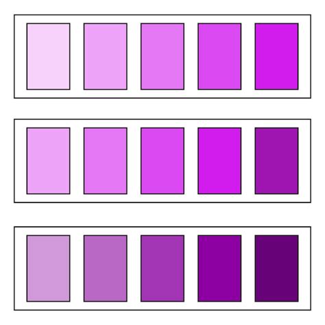 Purple Gradient Palette Vibrant Hue Swatches Color Selection Vector