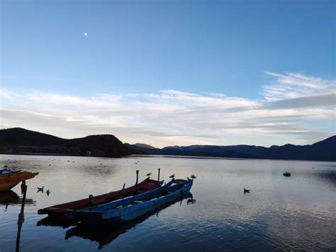 《the power of scale for parameter efficient prompt tuning》论文阅读 知乎