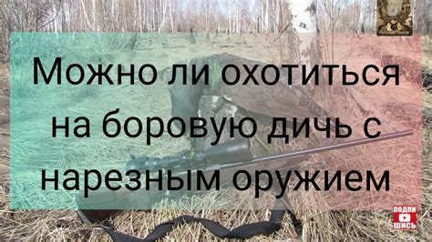 Можно ли охотиться на боровую дичь с нарезным оружием Youtube