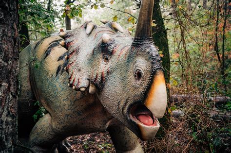 Alles Over Centrosaurus Dierenpark Amersfoort