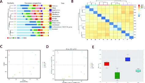 Beta Analysis Between Groups Based On The Bray Curtis Algorithm A