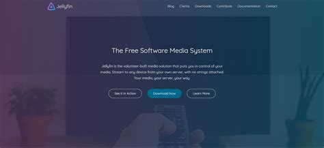 Jellyfin Açıq Mənbəli Media Sistemi Hashdork