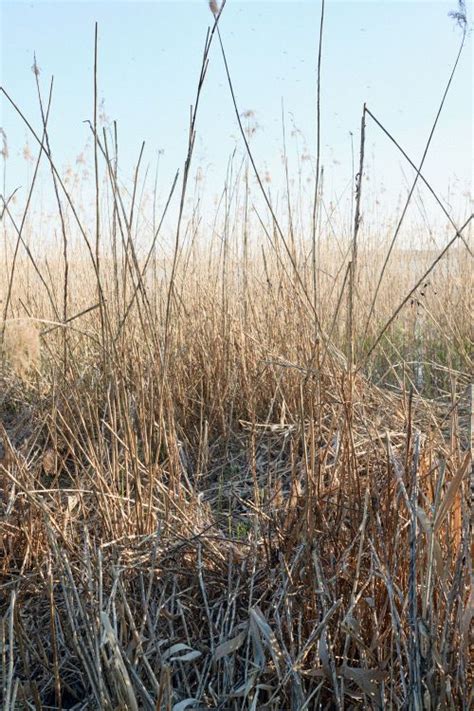 A First Look At Flattered S Spring Summer Collection Vogue Scandinavia