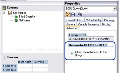 7 Tips For Building Efficient Bex Queries For Sap Sap Community