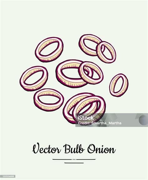 잘라 낸 전구 빨간 양파 반지 손으로 그린 벡터 일러스트레이션 모던 라인 잉크 야채 양파 포스터 로고 아이콘 스티커 개체 그룹에 대한 스톡 벡터 아트 및 기타 이미지
