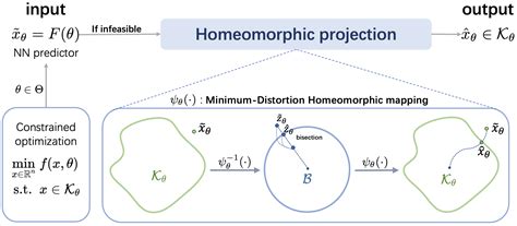 Homeomorphic Projection