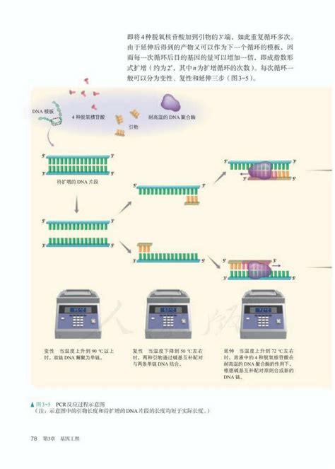 第 节 基因工程的基本操作程序 年审定人教版高中生物选修 中学课本网