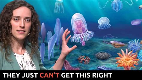 Evolutionists Are Still Stuck Trying To Figure This Out — Answers News Harbingers Tv