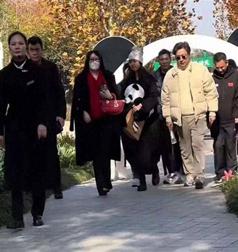 李湘家过圣诞！王诗龄和刘亦菲亲密合影，王岳伦陪同母女俩吃大餐显得性格李现