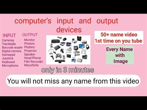 Name Three Input Devices