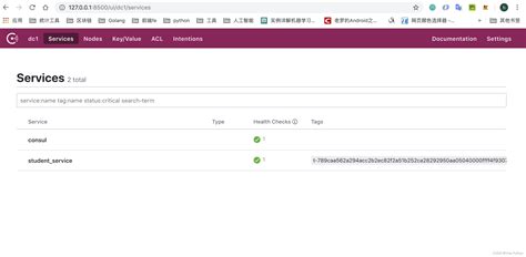 Go Micro框架介绍 Csdn博客