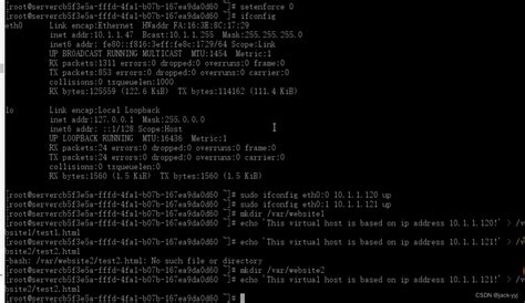 配置安全的linux Apache服务器（5）debian搭建apaches服务——ca安全加密 Csdn博客