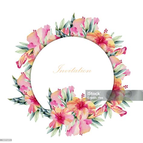 수채화 히비스커스 꽃과 녹색 잎 흰색 배경에 그려진 손으로 라운드 프레임 초대 카드 디자인 계절에 대한 스톡 벡터 아트 및 기타 이미지 Istock
