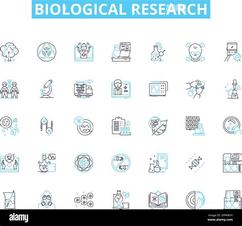 Biological Research Linear Icons Set Genetics Microbiology Virology Botany Immunology