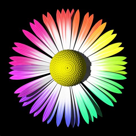 Daisy  Flower At Claudia Aunger Blog