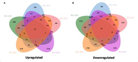 Venn Diagram For Comparison Of Various Transcriptome For