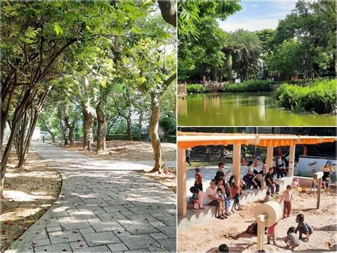桃園龍潭客家文化館免門票展館 公園 湖泊一次擁有追不到五月雪免傷心室內外油桐花隨時拍都超美 銀髮一起玩