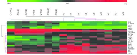 Unsupervised Hierarchical Clustering Of 7 Clinical Stage Ii Breast