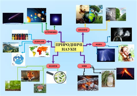 Інтелект карта Природничі науки до уроку Наука та її творці