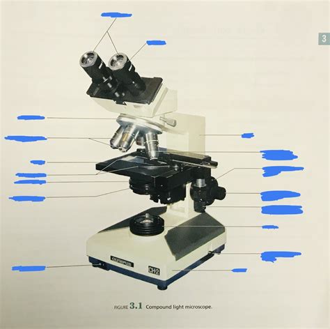 Microscope Parts Diagram Quizlet