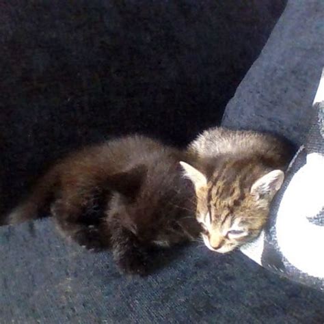 Madison Pollard Youtube