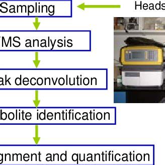 Steps Involved In The Detection And Diagnosis Of Diseases Of Fruits And Download Scientific