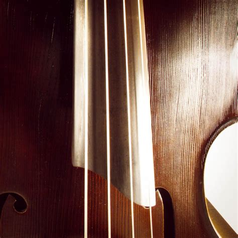 Upton Bass C Extension At Vivian Beck Blog