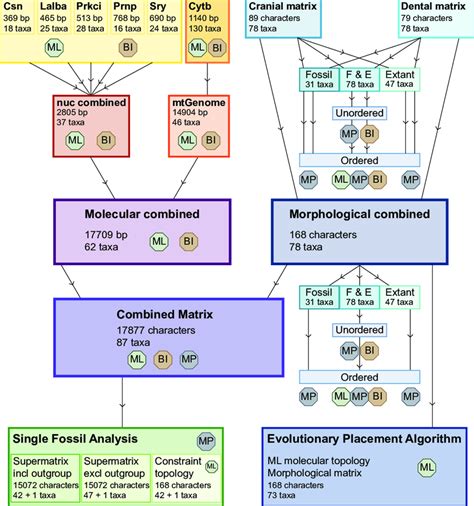 Overview Of All Analyses This Overview Shows All Analyses Undertaken