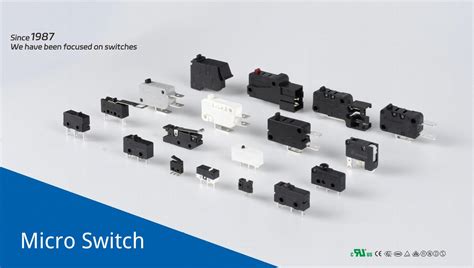 Ultimate Guide Micro Switch Wiring